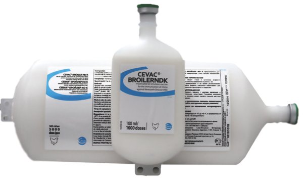 Understanding CEVA NDK