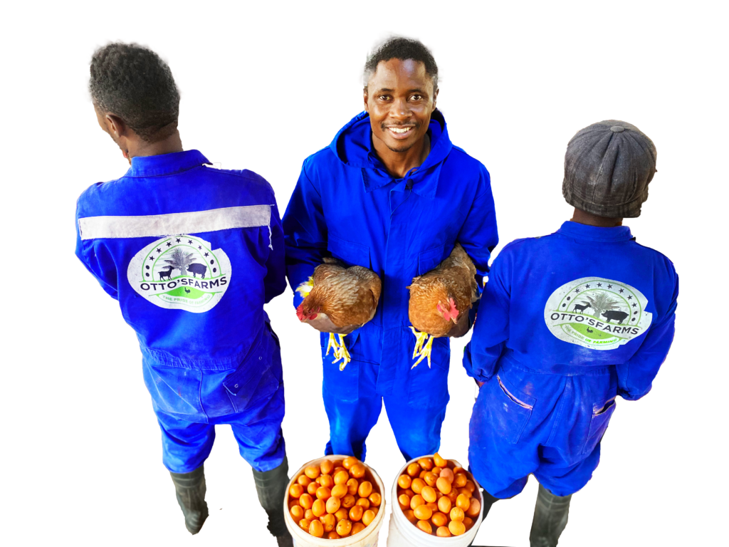 Otto'sFarms